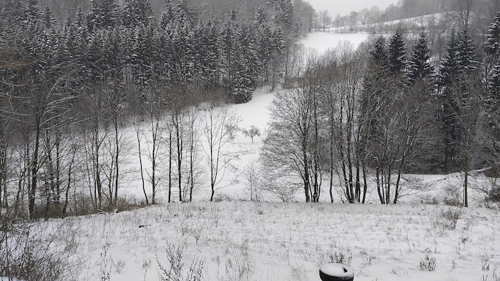 Das Ruhige Dachsloch Mitten Im Wald, Mit Holzofen! - Bad Berleburg