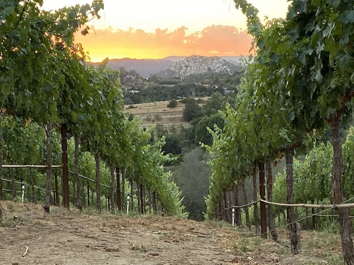 Barking Dog Winery - フォールブルック, CA