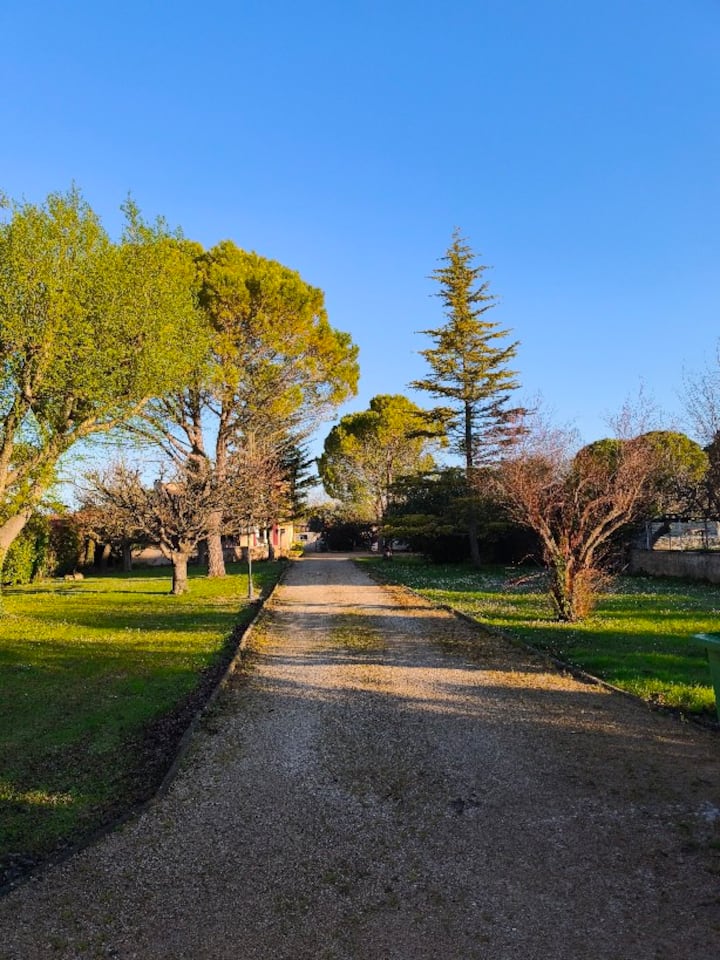 Maison De Charme En Provence - Monteux