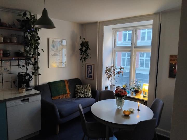 Hel Lejlighed På Vesterbro - Copenhaguen