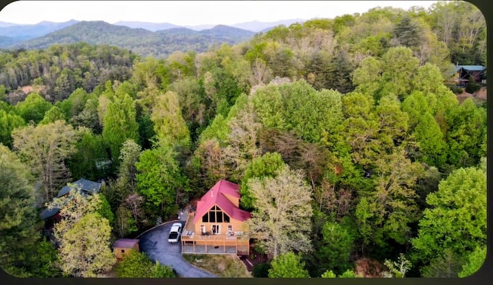 Animal House/ Kid & Dog Friendly - Bryson City, NC