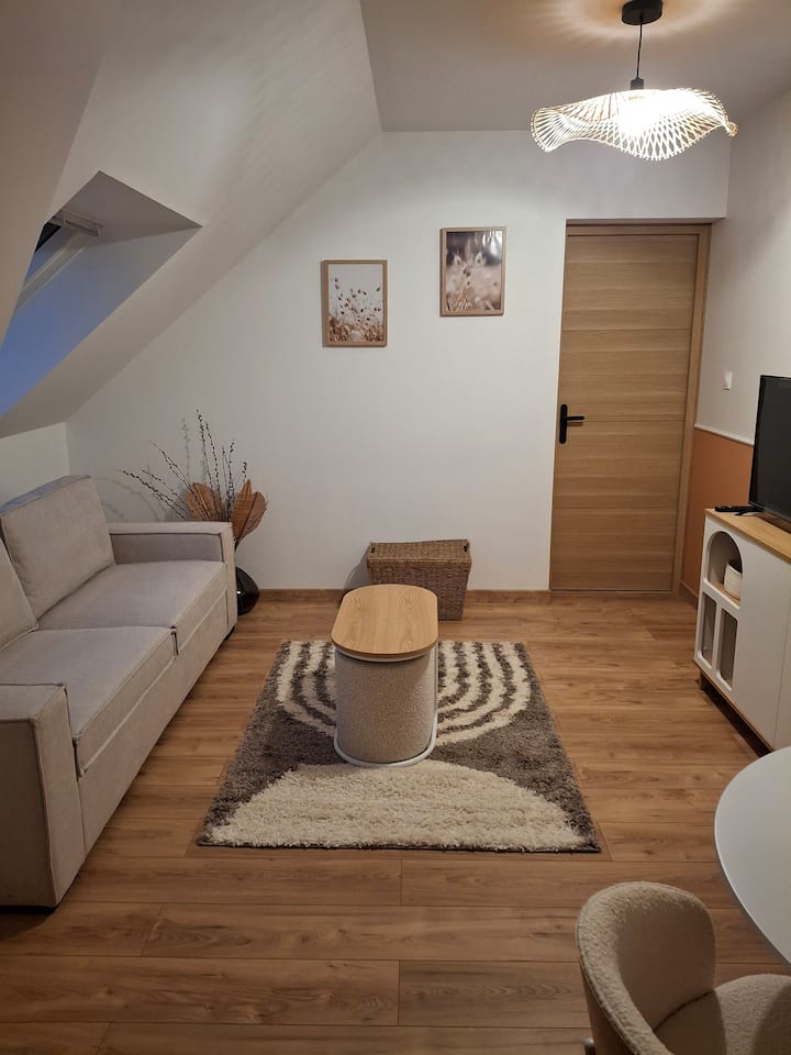 Appartement Charme Bord De Mer Jacuzzi - Le Touquet