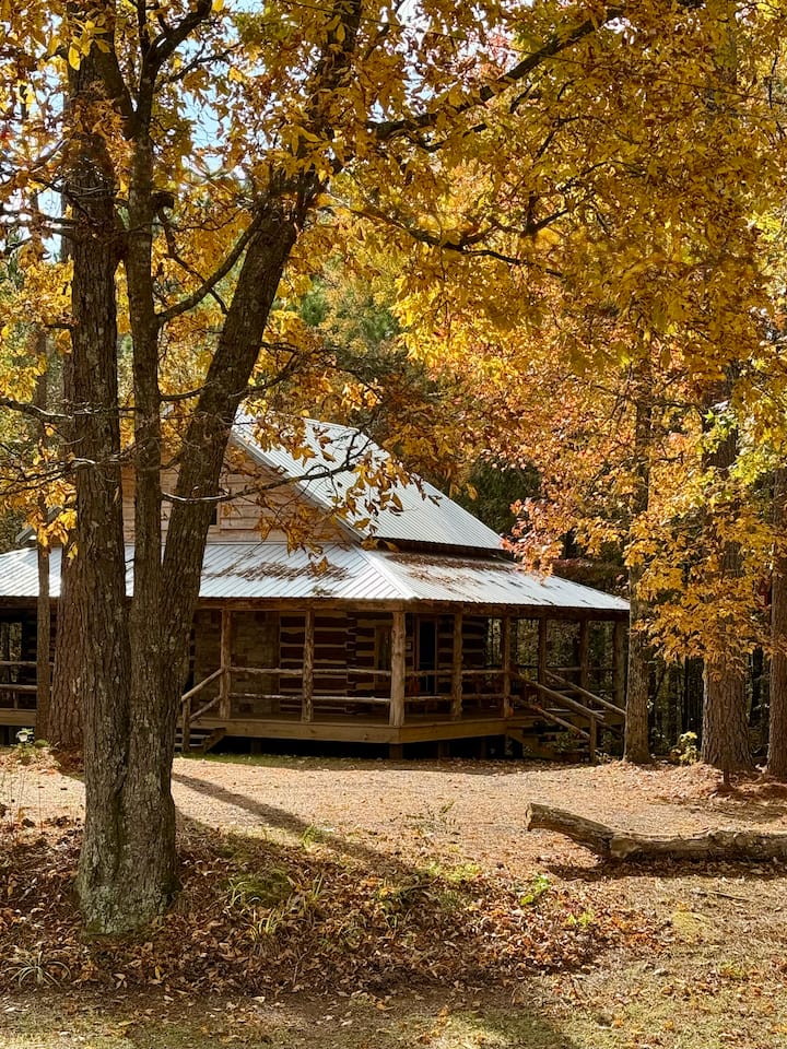 Chief's Log Cabin - Blue Mountain, MS