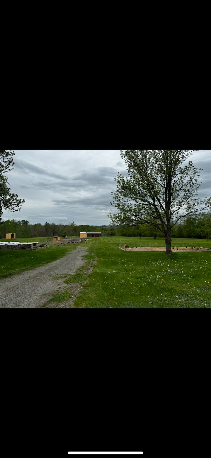 Camp On A Farm; Rebels Homestead - Bangor, ME