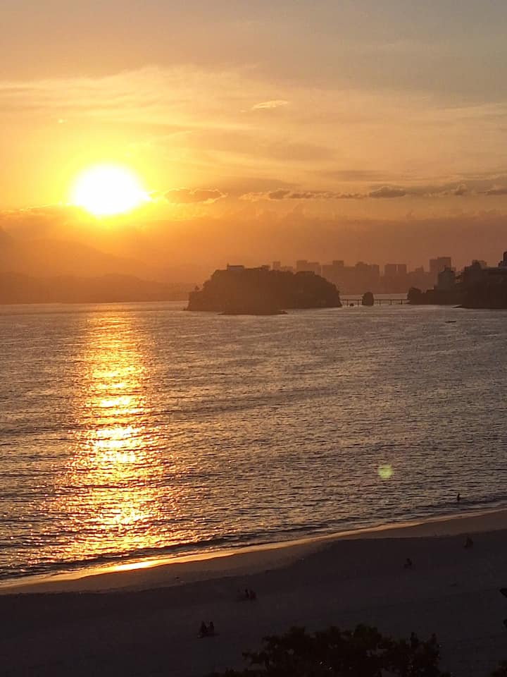 Frente Praia E Vista Do Rio. Excelente Localização - Niterói