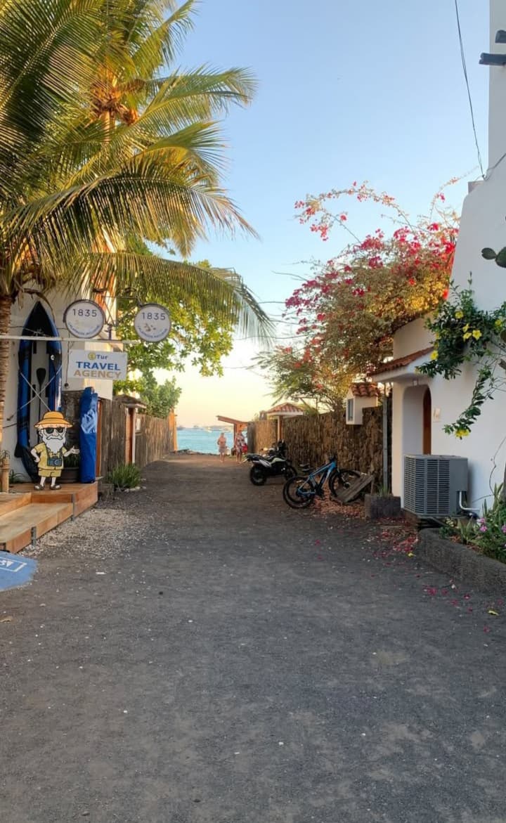 Departamento Familiar Cerca Al Muelle - Galápagos Islands