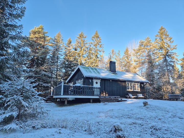 Idyllisk Skogshytte Med Flotte Ski/tur Muligheter - Norway