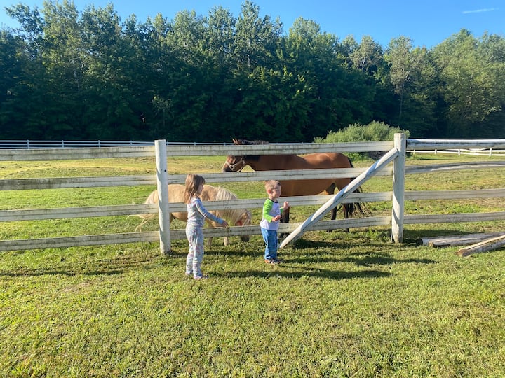 Legacy Farm Waterfront Retreat - Eau Claire, WI