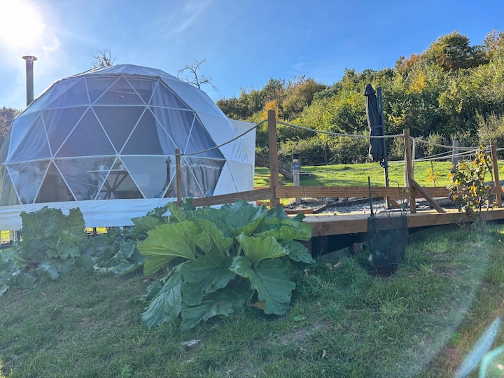 Fleur De Lune Dôme "Ambre" - Vic-sur-Seille