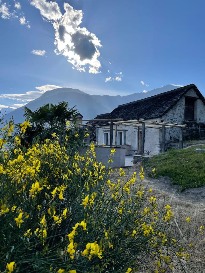 La Terrazza Di Rivoria - Santa Maria Maggiore