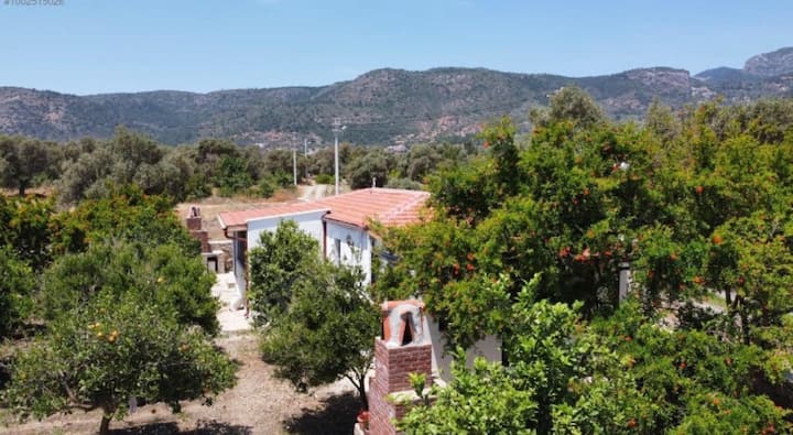 Hayıtbükü’nde Müstakil 1+1 - Mesudiye