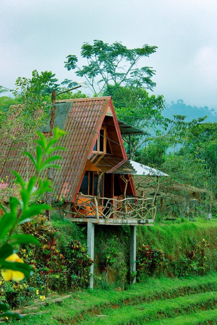 La Cantora - Los Rios