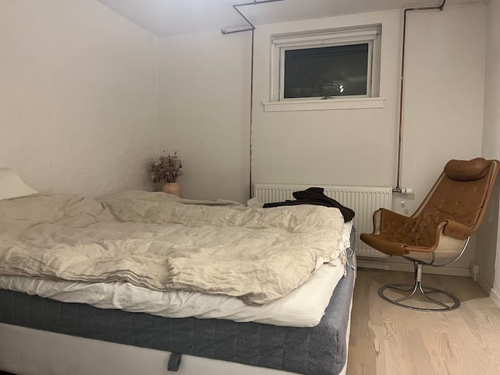 Kælderlejlighed M Bad - Odense