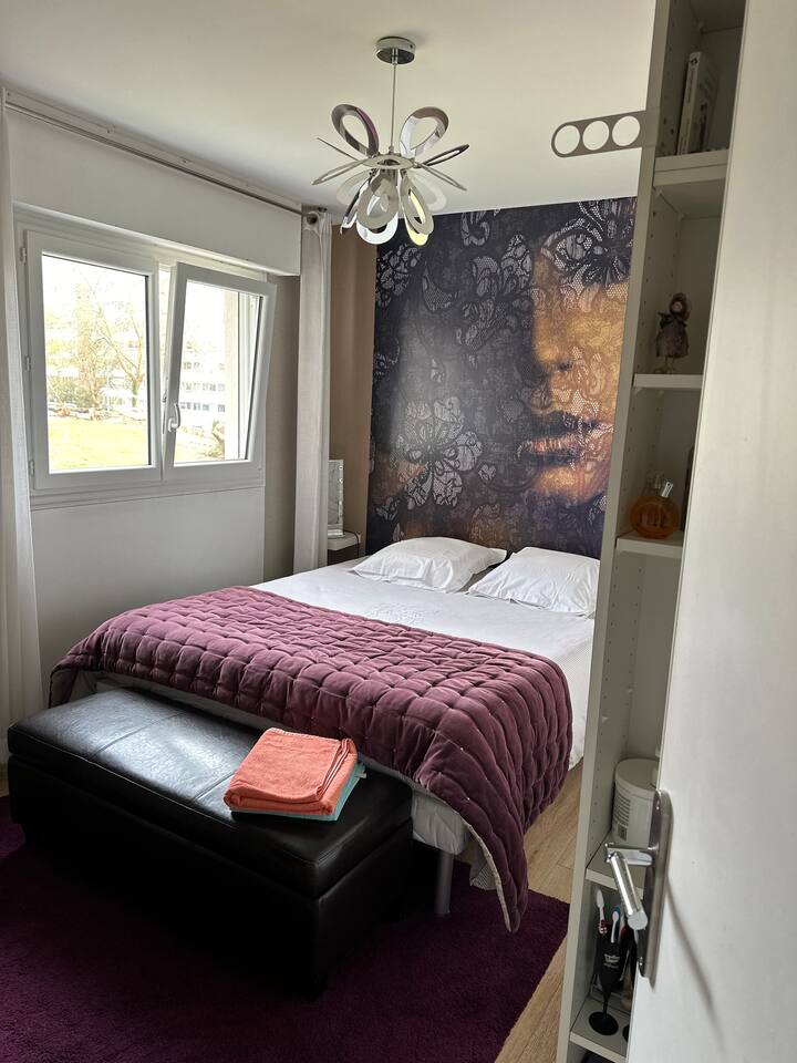 Chambre Dans Un Appartement - Brest
