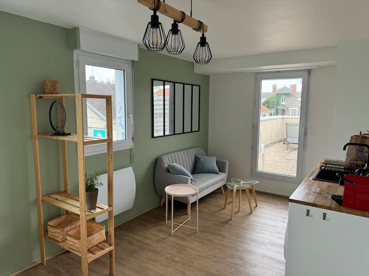 Grand Studio Avec Toit Terrasse - Nantes