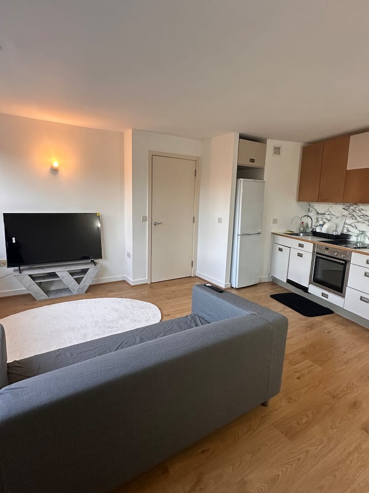 Modern Flat With Gym + Pool - Londres