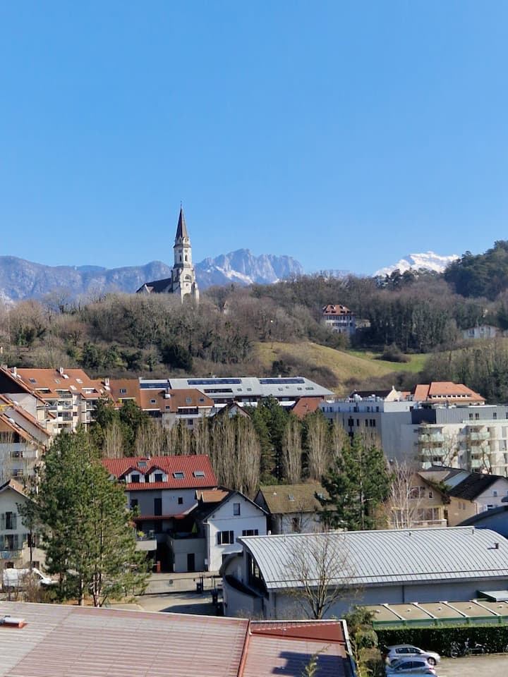 Superbe Appartement Annecy - Sévrier