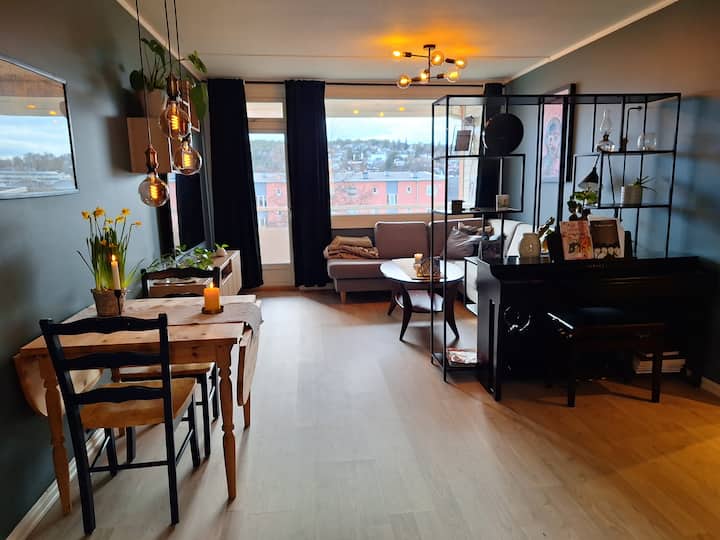Delikat Og Romslig Leilighet - Oslo