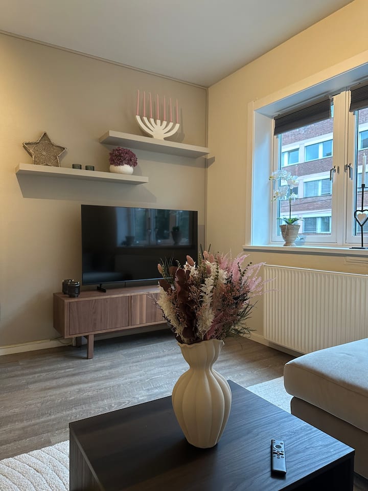 Koselig Leilighet På Carl Berner - Oslo