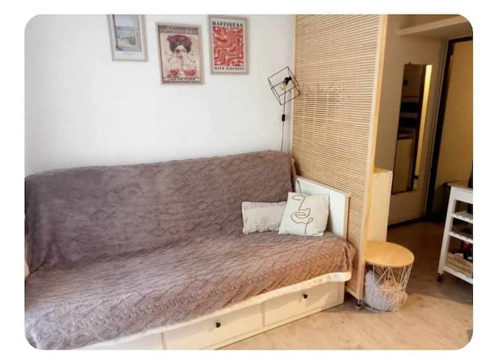 Superbe Appartement Toulouse - Toulouse