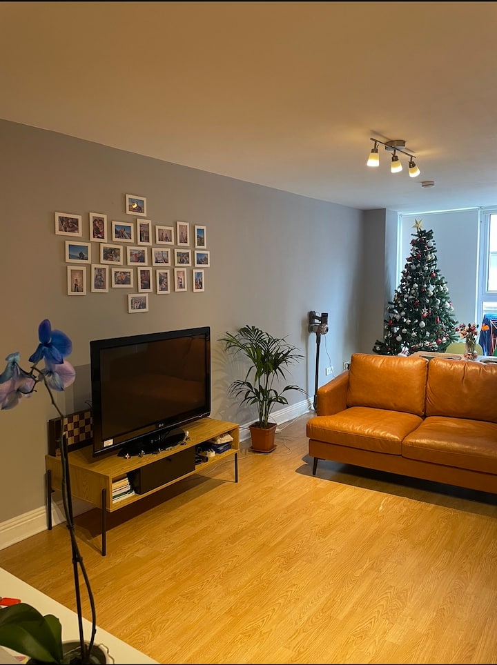 Entirehouse-15min Walk Templebar - Dublin