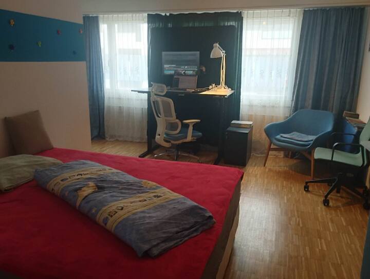 1,5-zimmer Wohnung In Basel - Basilea