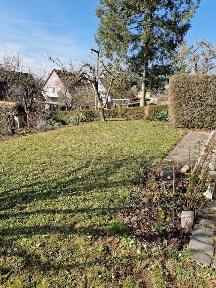 Südhang Von Sonne Erfüllt - Ochsenfurt