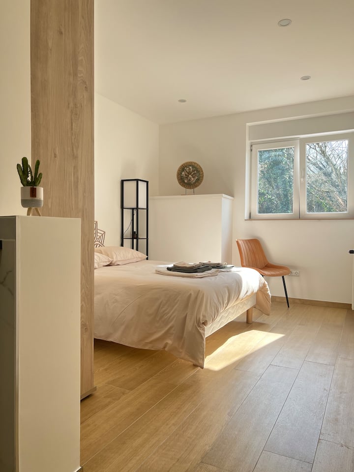 Oasis & Charme Au Cœur Ville - Esch-sur-Alzette