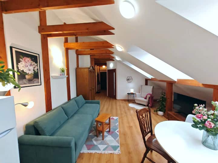 Stela Old Town Apartment With 1 Private Parking - Košice