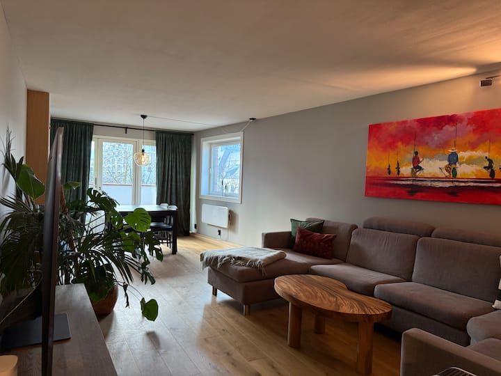 Toppleilighet Med Balkong - Oslo