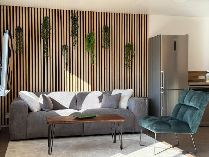 Spacieux, Garage Et Terrasse - Schiltigheim