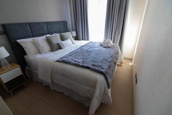 Air Conditioner/ High Speed Wifi / Premium Bed - Santiago del Chile