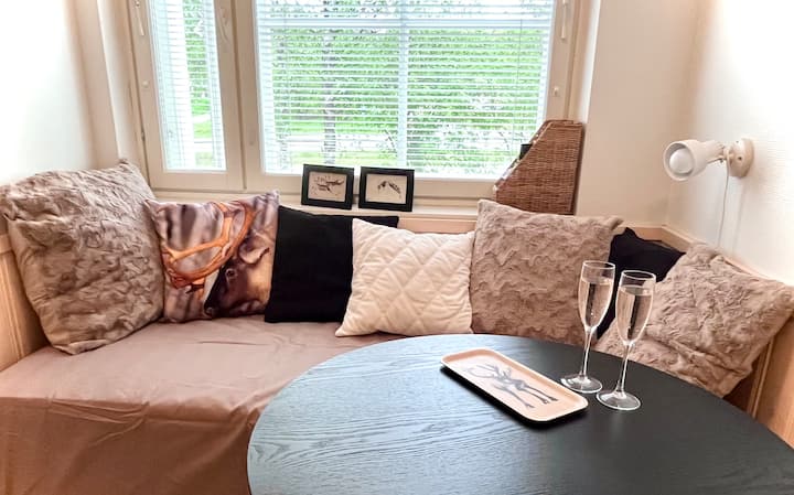 Saunallinen Huoneisto Levin Keskustassa - Suomi