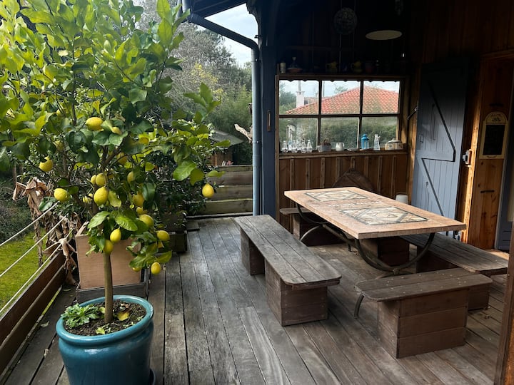 Villa*piscine*famille*lac - Hossegor