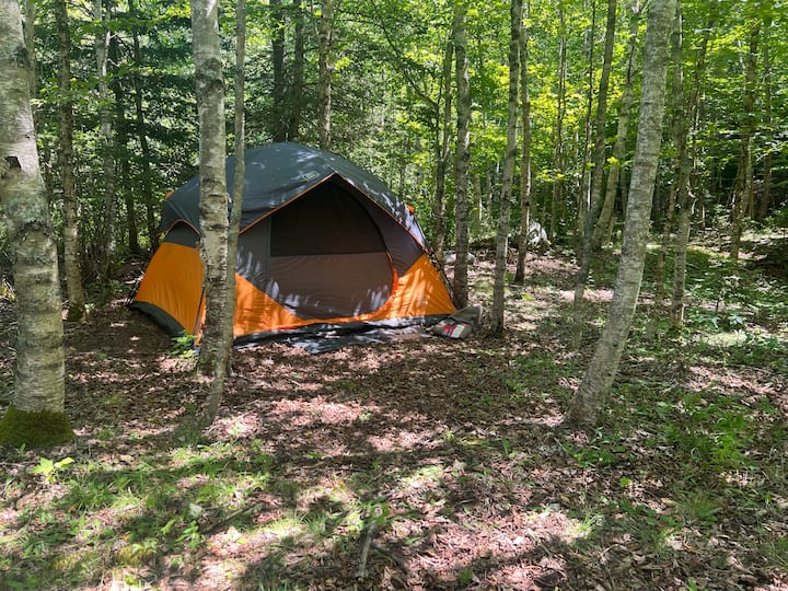 Secluded Oceanside Tent Camping - 東港