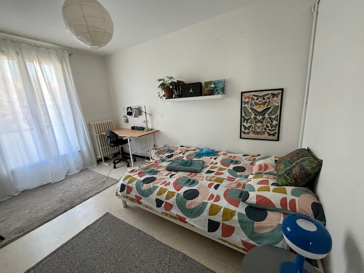 Une Chambre Dans Un Appartement - Montpellier