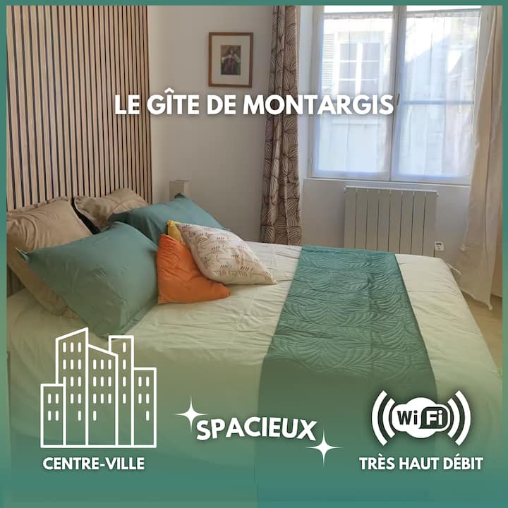 Gîte En Centre Ville - Montargis - Montargis
