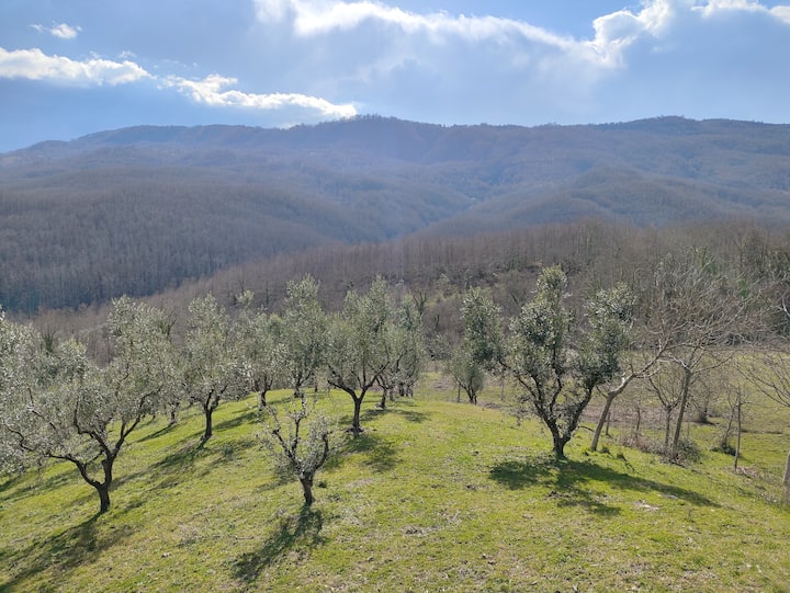 Agriturismo Li Guira - Il Fienile - Laurino