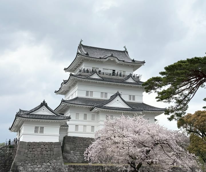 Umenoya Odawara-castle 5 Min/hakone 15 Min / Pc1 - Odawara