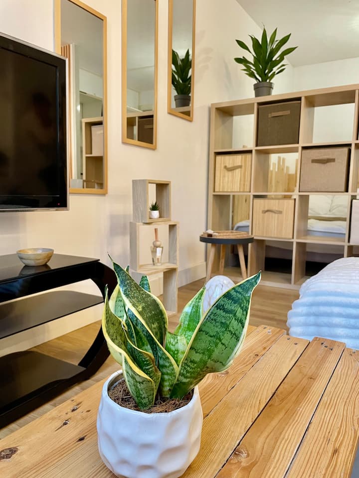 Grand Studio Ô Joie Plein Centre - Auxerre