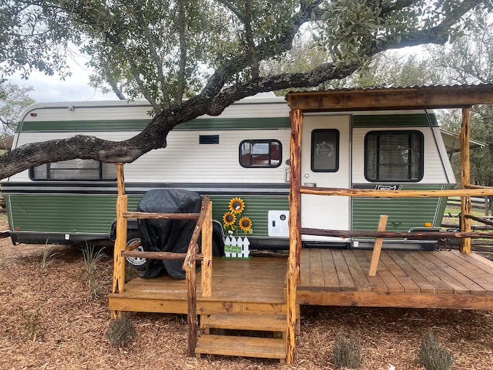 The Donkey Garden - Lake Travis, TX