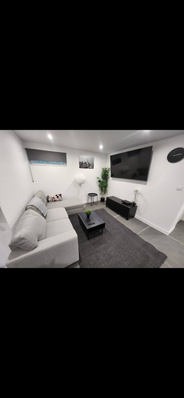 T3 Neuf Entièrement Climatisé.stade/eurexpo/ldcd - Meyzieu