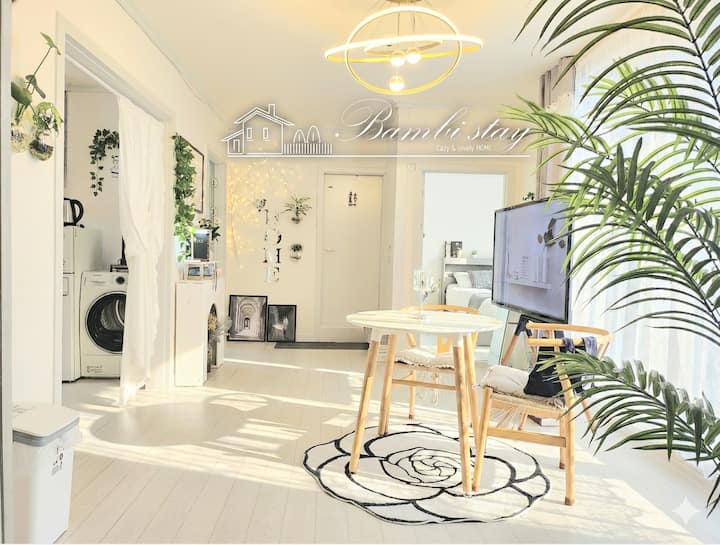 [부산교통중심]•1,3호선•동해선•해운대•광안리•서면•3룸•지하철 도보3분•빔프로젝트 - Busan