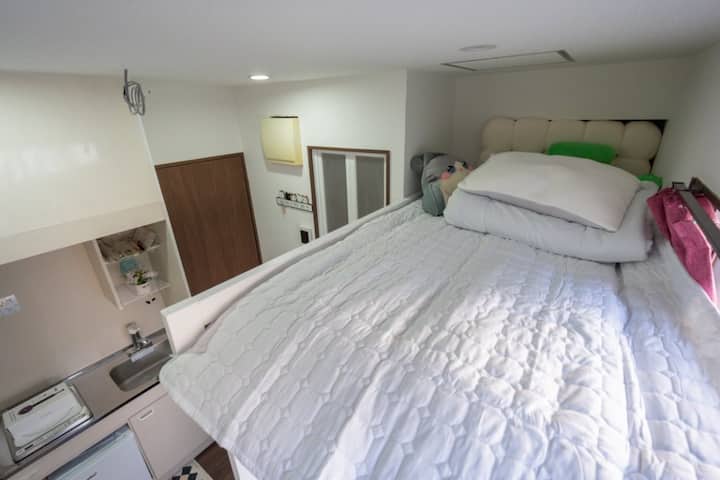 王202整套私人独立卫浴厨房 洗衣机 车站步行5分钟 上野站地铁直达 - Tokyo