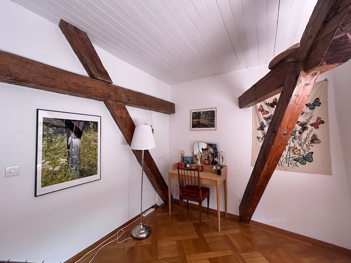 Old Town Appartment With Balcony,5 Min To The Lake - Genebra