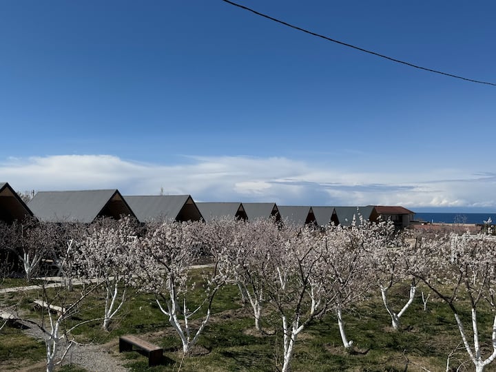 Coral Houses 1 - Kyrgyzstan