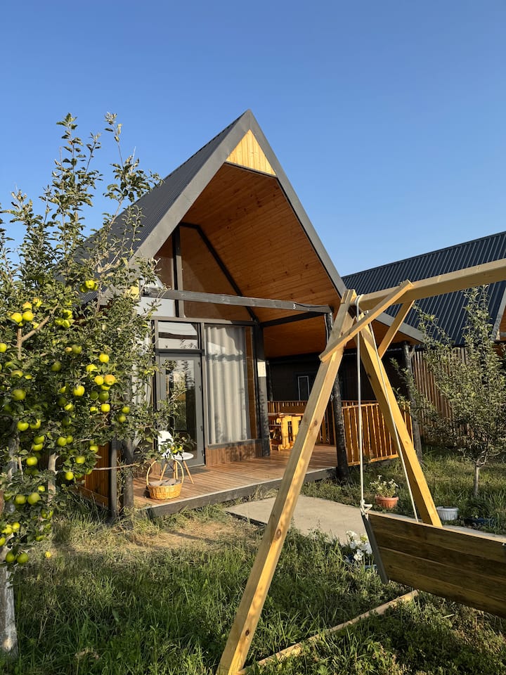 Coral Houses 1 - Kyrgyzstan