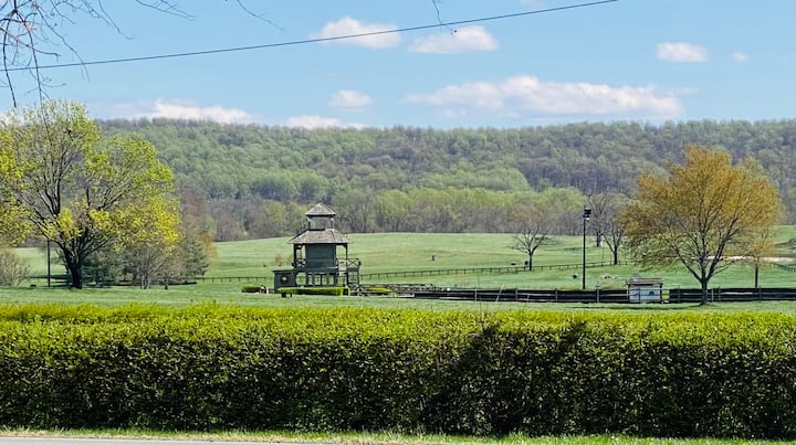 Virginia Horse And Wine Country - Warrenton, VA