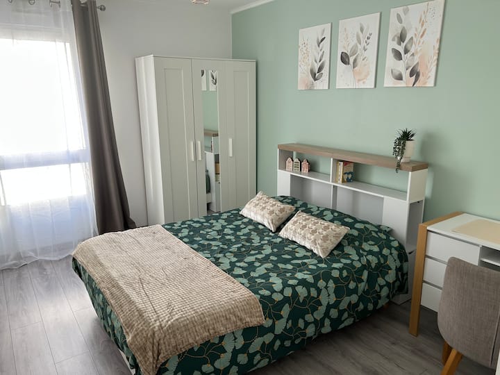 Coq 1. Chambre | Gare Annemasse - Annemasse
