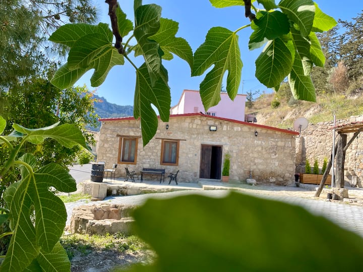 Tatlısu'da Tarihi Taş Köy Evi - Zypern